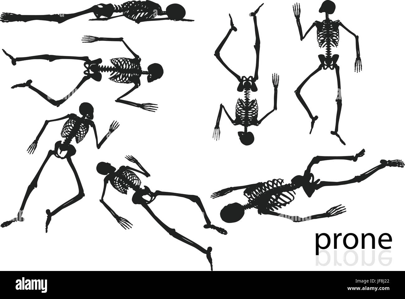 Skeleton photo Stock Vector Images - Alamy