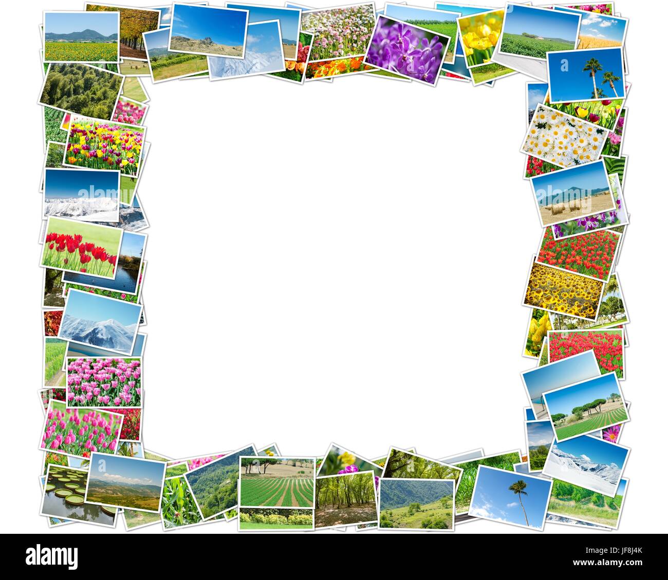 Frame made of various nature photos Stock Photo - Alamy