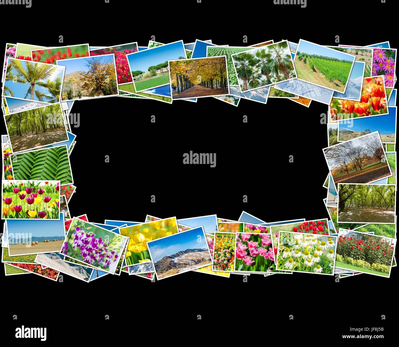 Frame made of various nature photos Stock Photo - Alamy