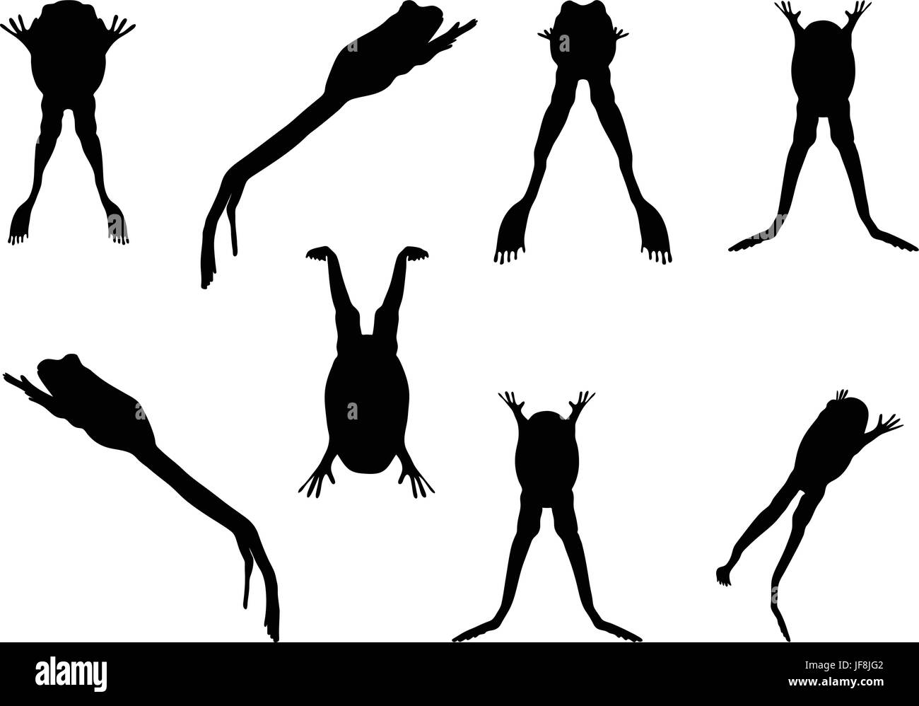 Frog leg legs Stock Vector Images - Alamy