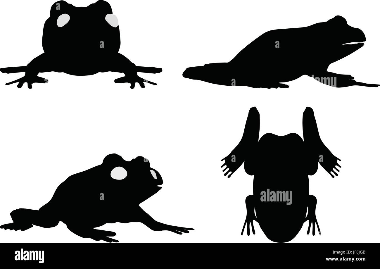 Frog model Stock Vector Images - Alamy