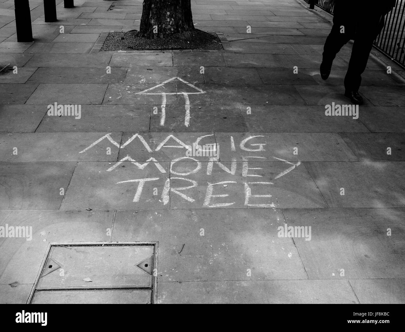 Magic Money Tree Stock Photo - Alamy