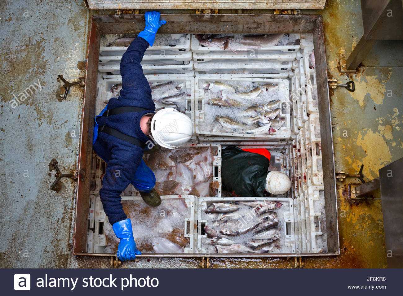 Trawler Fishing Catch High Resolution Stock Photography and Images - Alamy