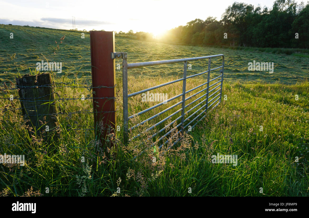 Metal field gates hi-res stock photography and images - Alamy