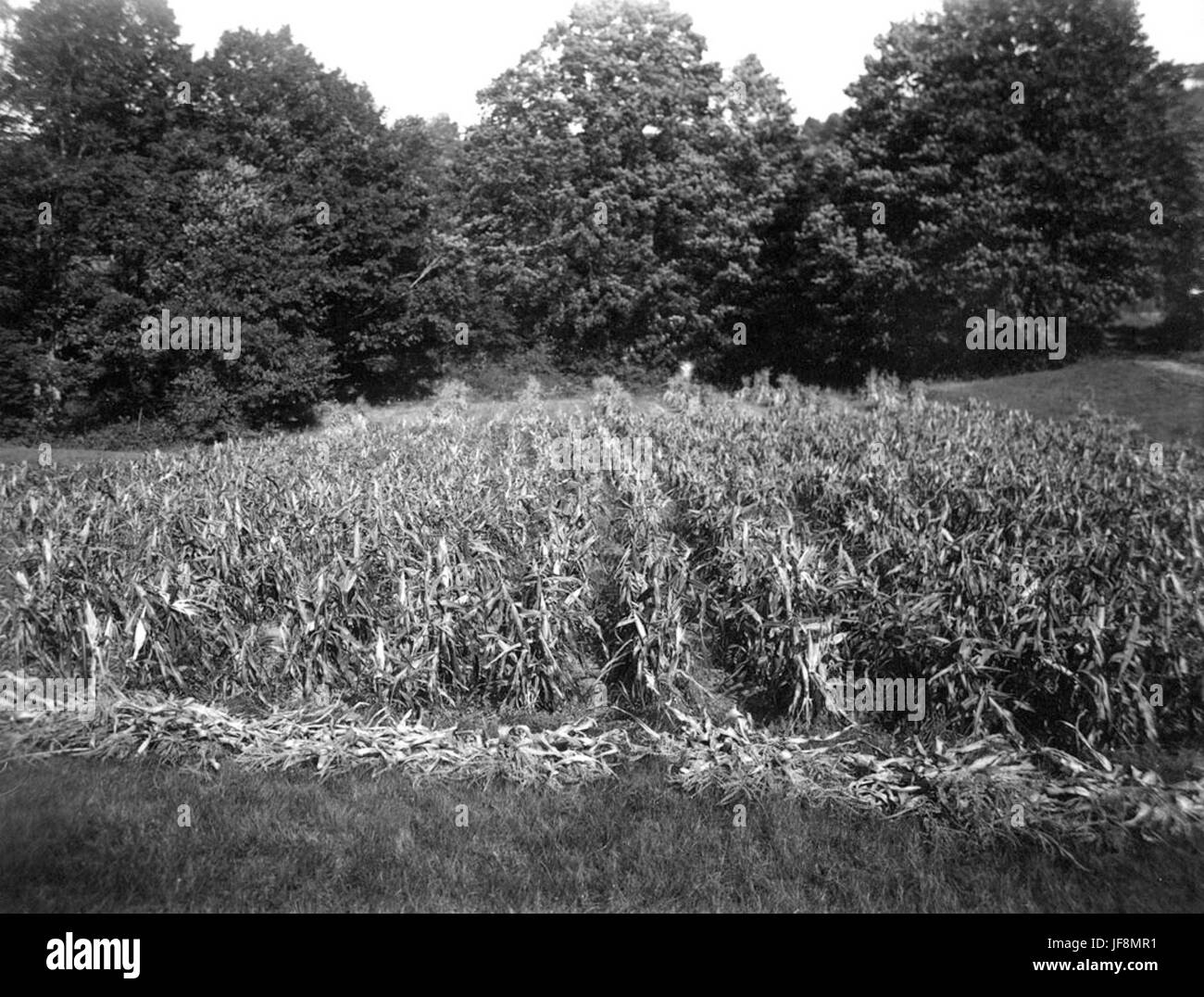Old field map Black and White Stock Photos & Images - Alamy