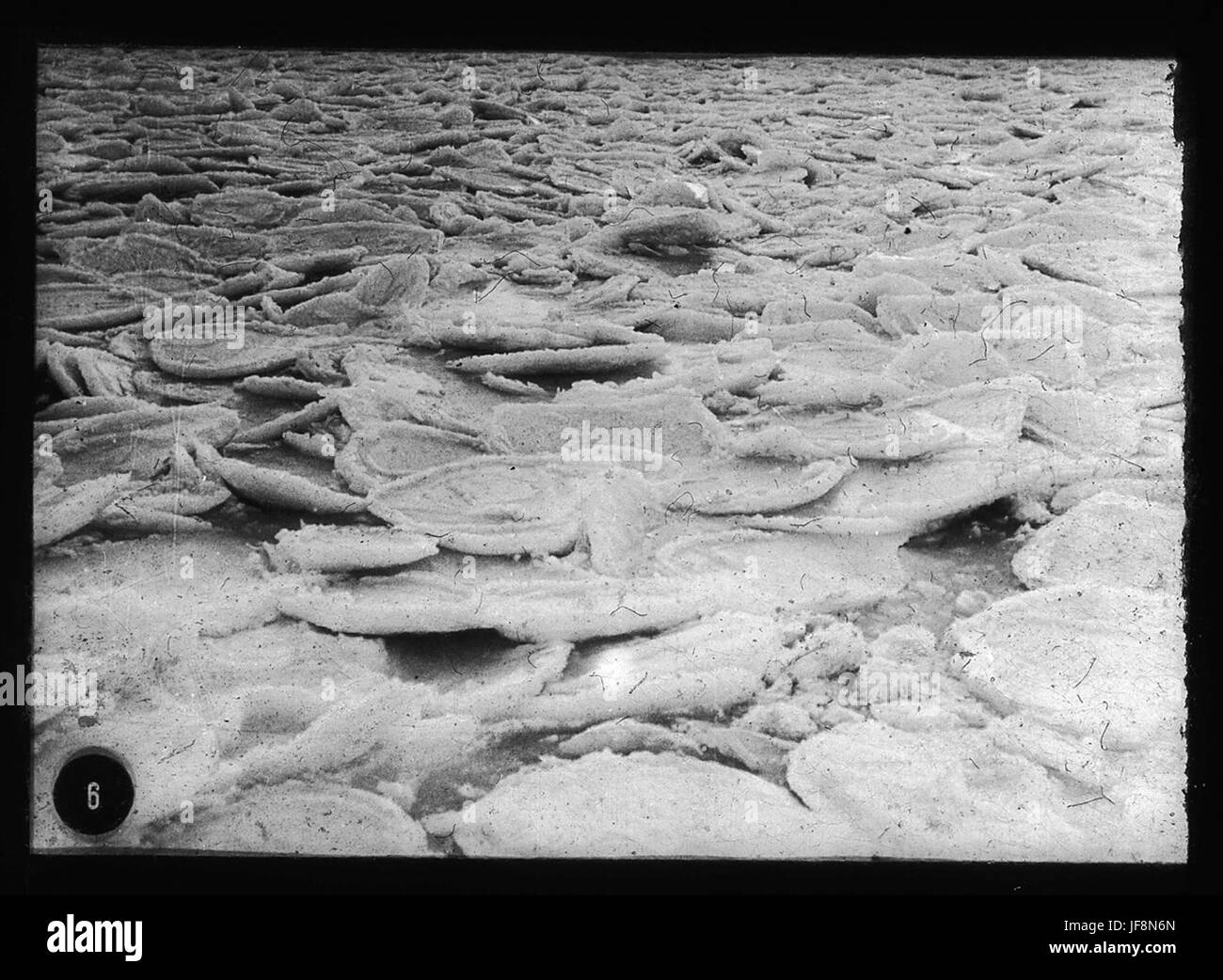 Antarctic ice cakes, 1910s Stock Photo - Alamy