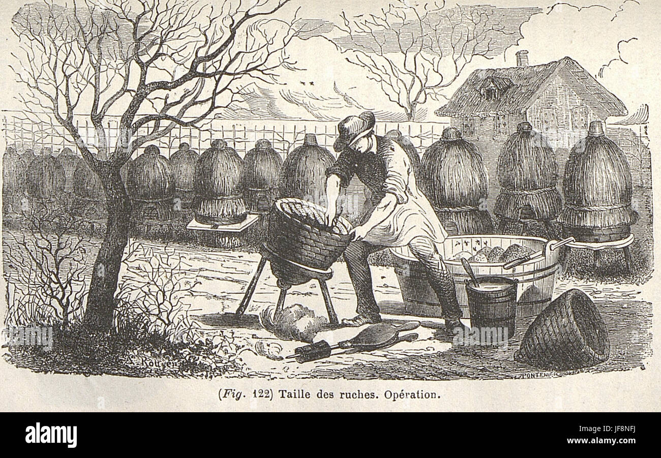 UNICAEN B 141182210 B1776 249: A vintage photograph of beekeeping and ...