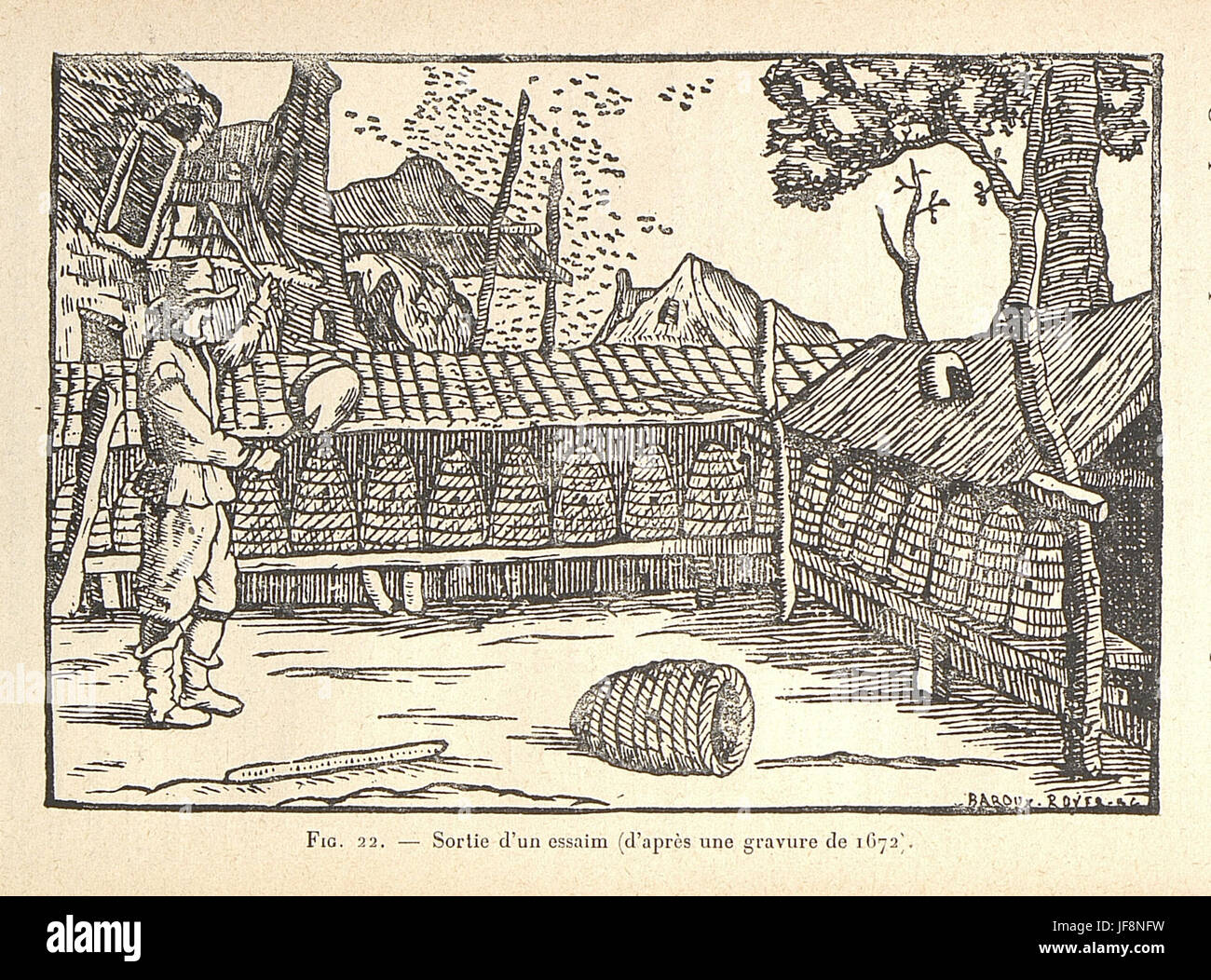 A swarm of bees leaving their hive, a natural phenomenon in beekeeping ...