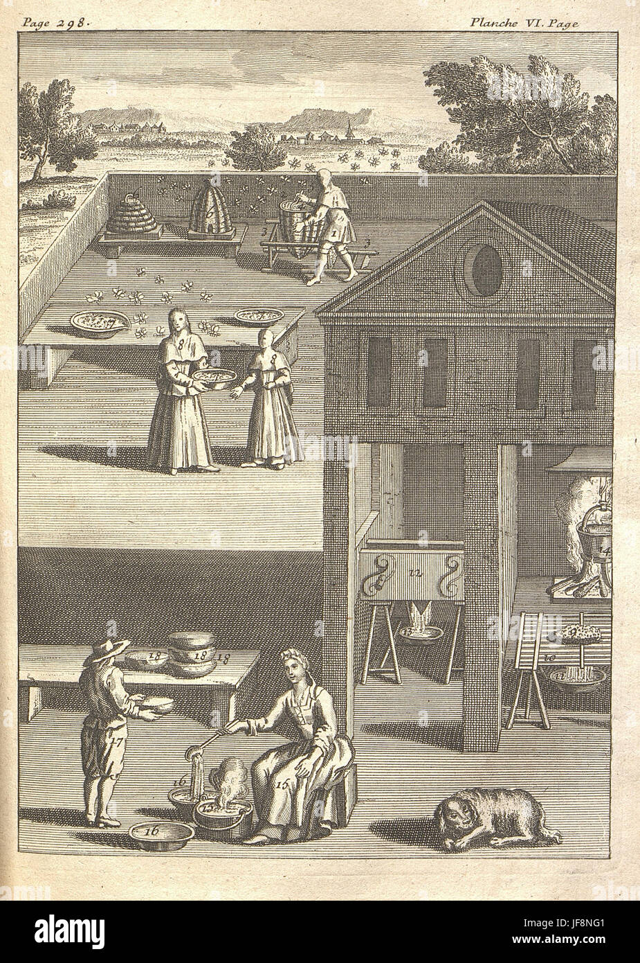 An historical image depicting the traditional method of extracting wax ...