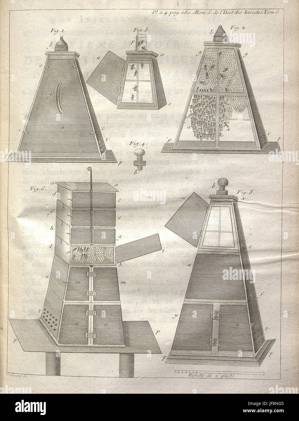 Three different shaped glass beehives, showcasing the craftsmanship of ...