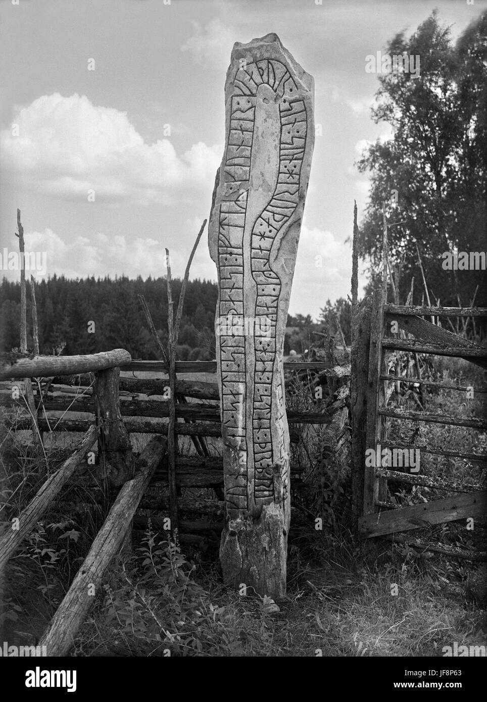 A photograph of the rune stone from Nöbbeleholm in Småland, Sweden ...