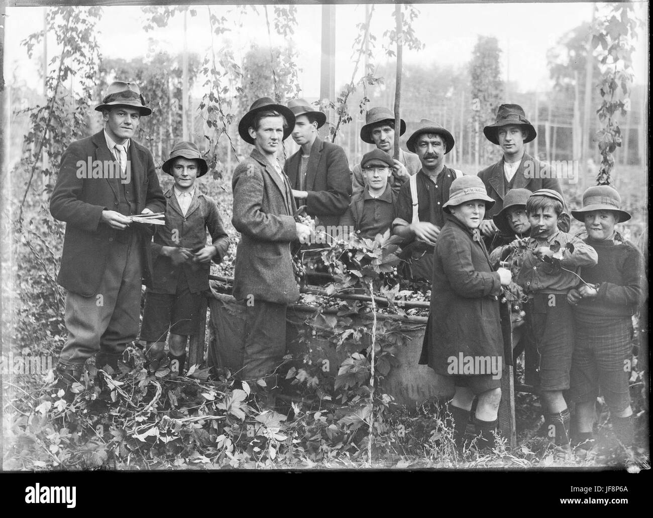 Hop pickers Black and White Stock Photos & Images - Alamy
