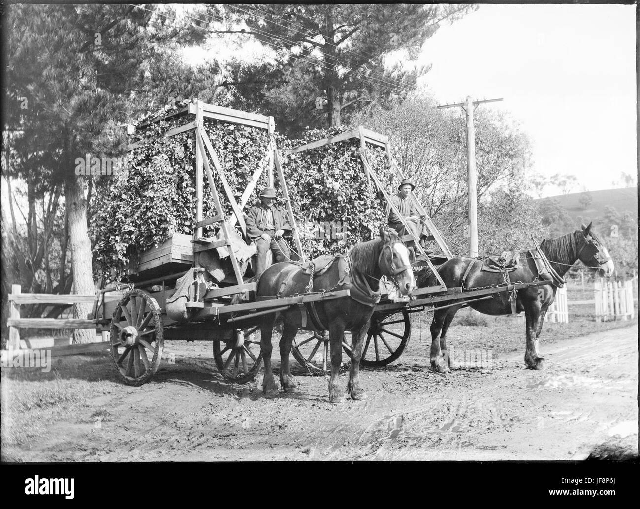 Vintage agricultural carts hi-res stock photography and images - Alamy