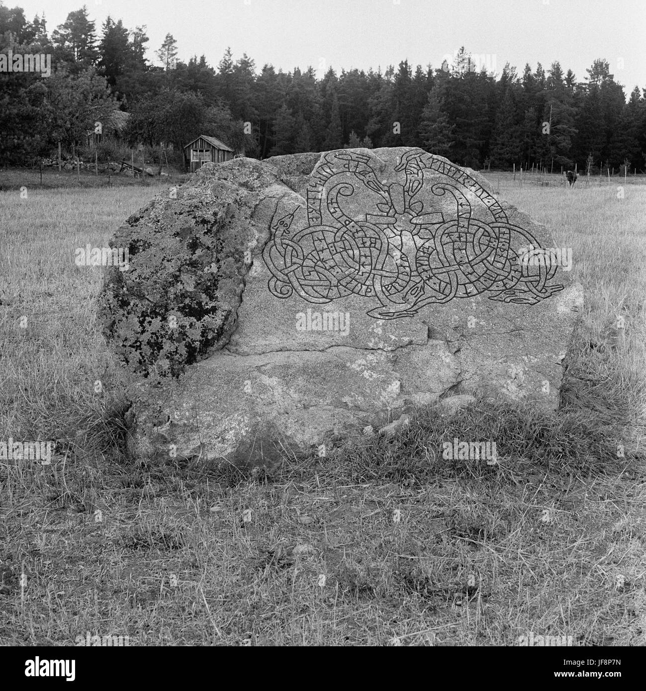 A historic runic boulder located in Furubylund, Uppland, Sweden ...