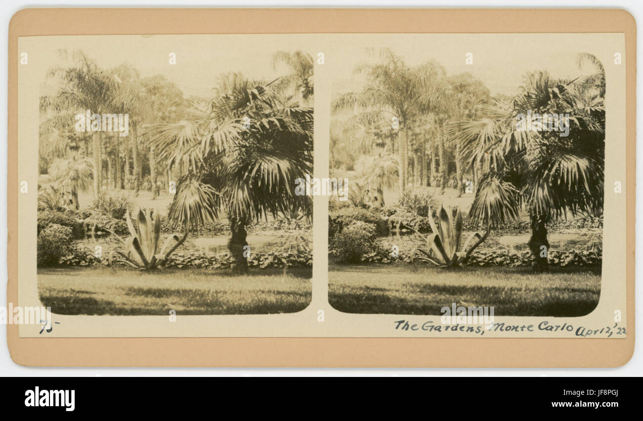 A stunning view of the gardens of Monte Carlo, featuring lush greenery ...