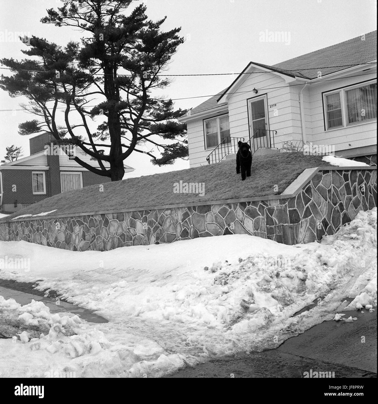 Scenes of canadas Black and White Stock Photos & Images - Alamy