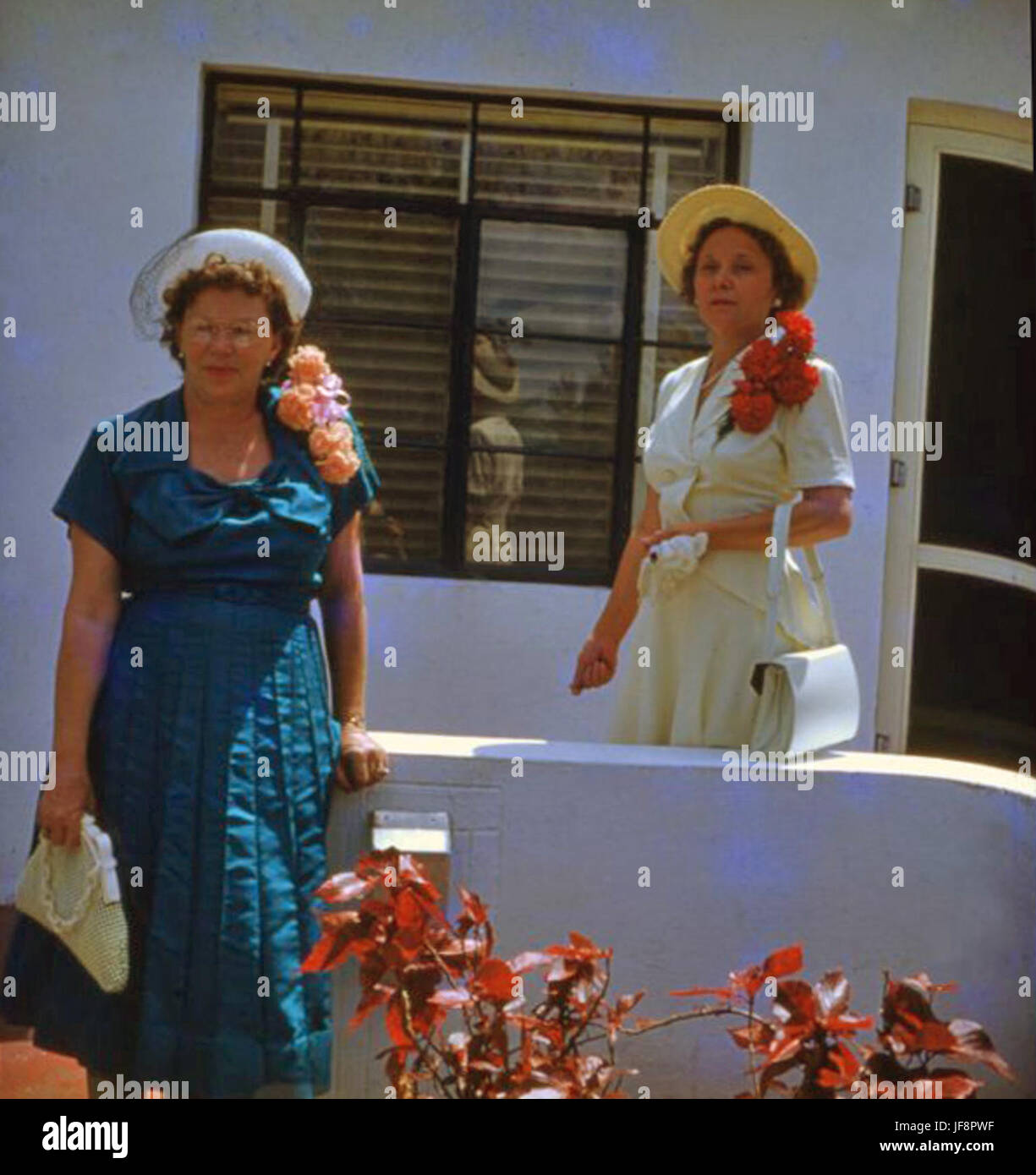 Dorothy sharp hi-res stock photography and images - Alamy