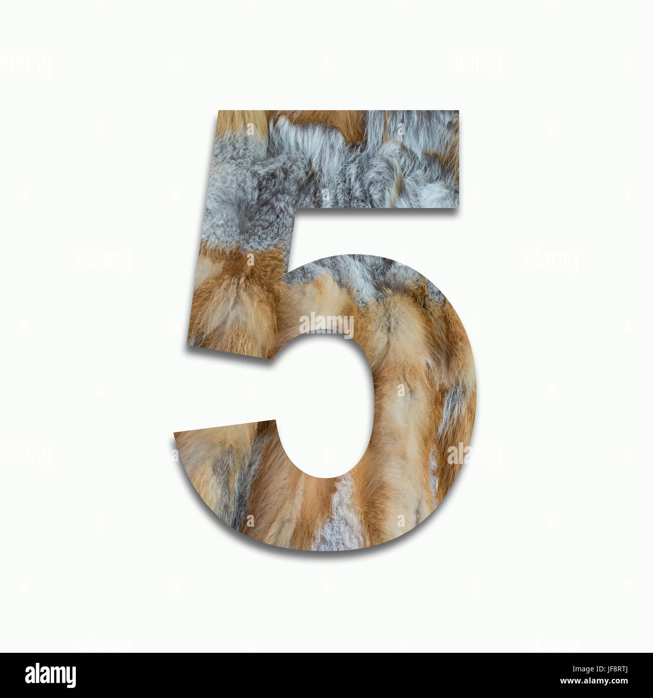 Fur industry hi-res stock photography and images - Alamy