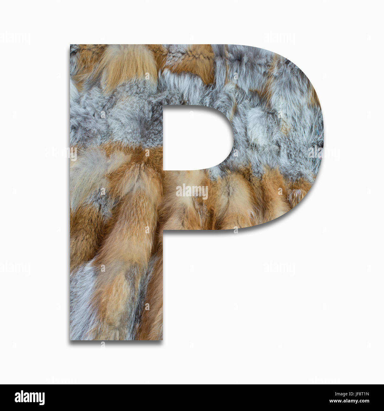 P red fox fur in a font trained Stock Photo - Alamy