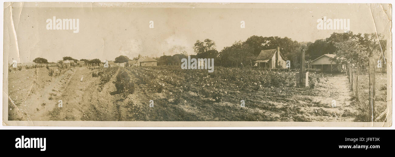 Sharecropping High Resolution Stock Photography and Images - Alamy