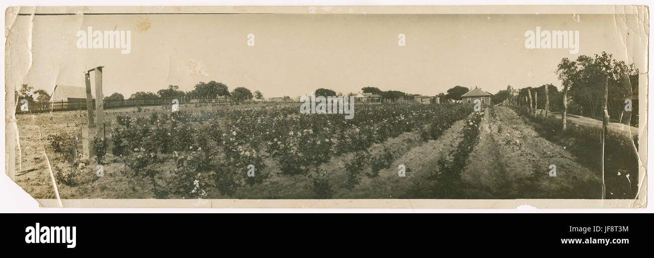 A striking image depicting a cotton sharecropper farm, highlighting the ...