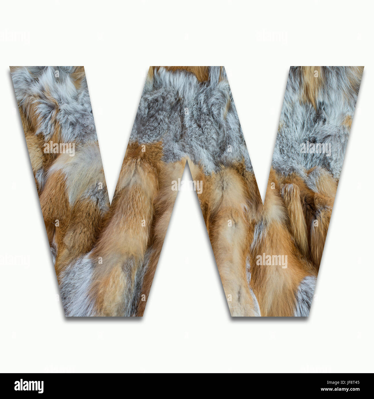 W red fox fur in a font trained Stock Photo - Alamy