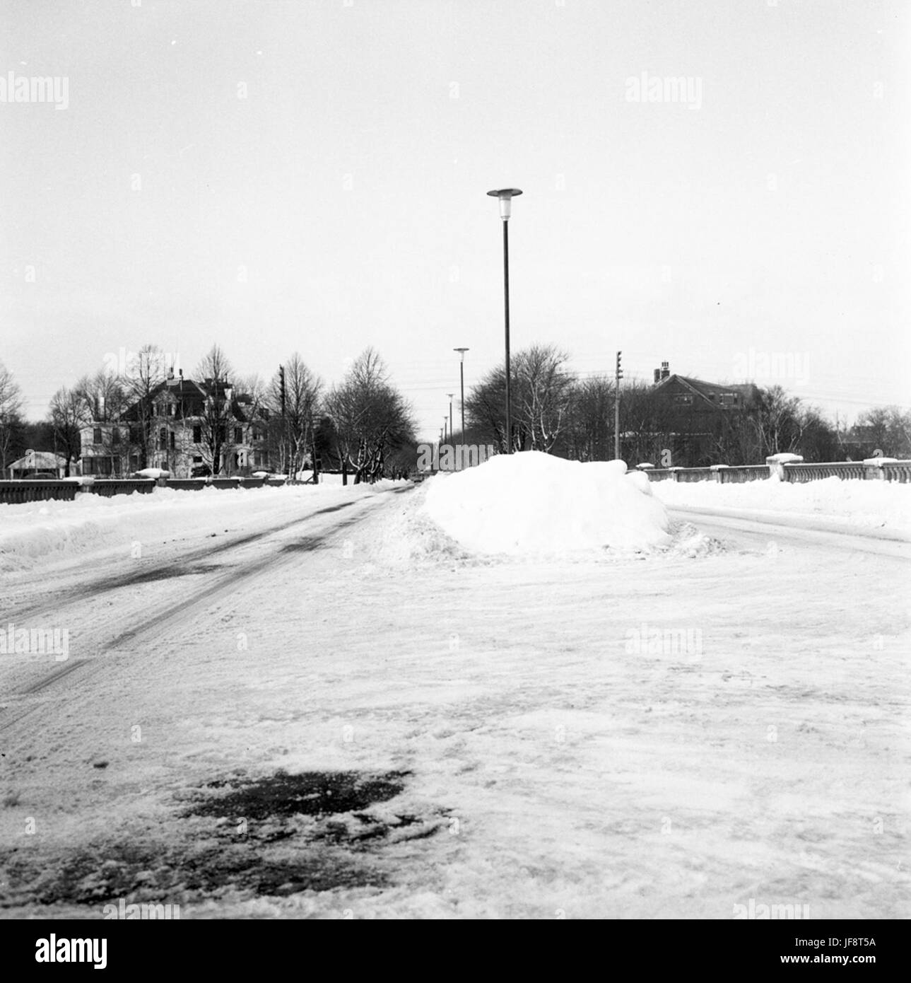 A snowy winter scene on Young Avenue in Halifax, Nova Scotia ...