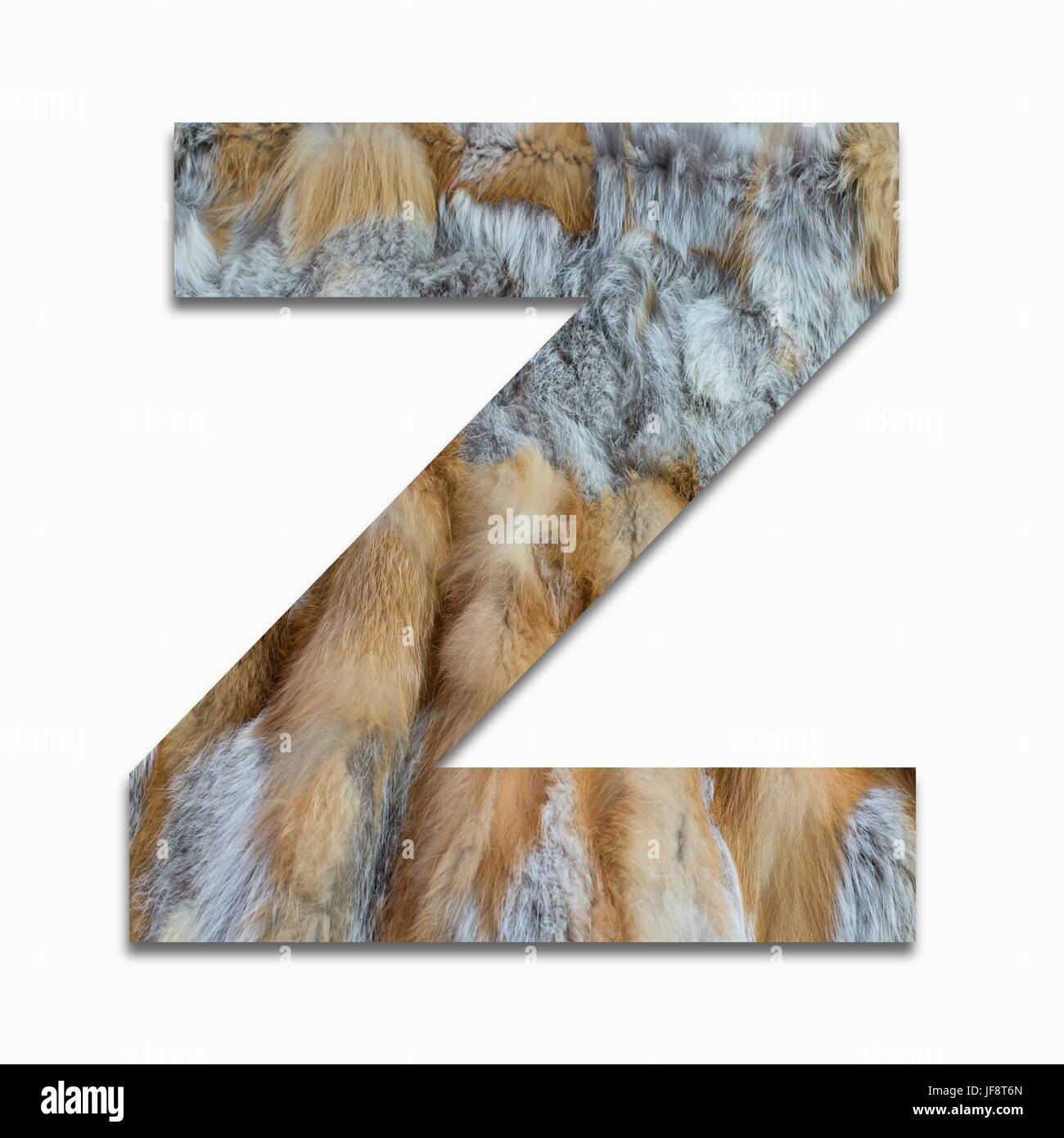 Z red fox fur in a font trained Stock Photo - Alamy