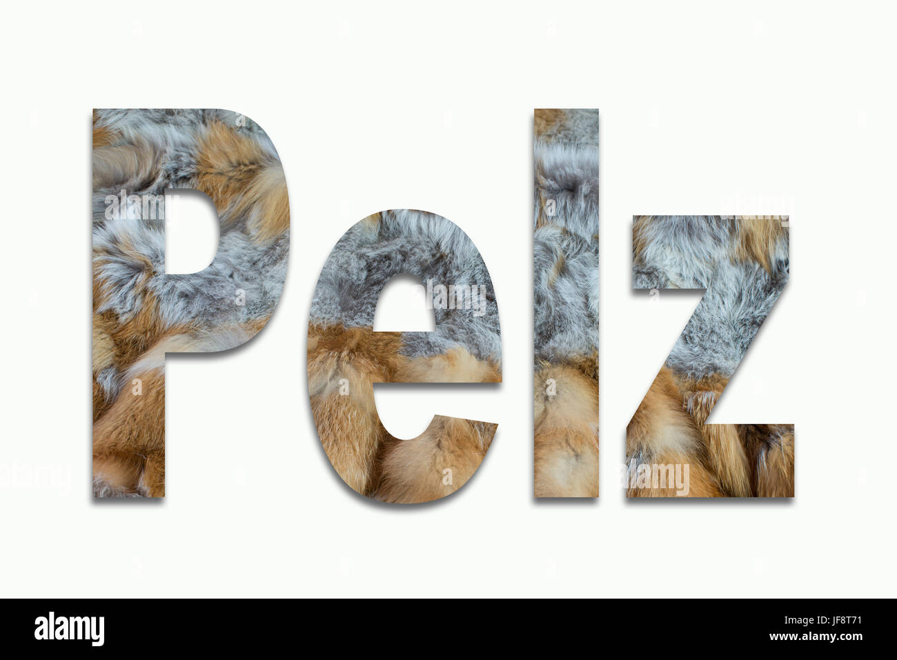 red fox fur in a font trained Stock Photo - Alamy