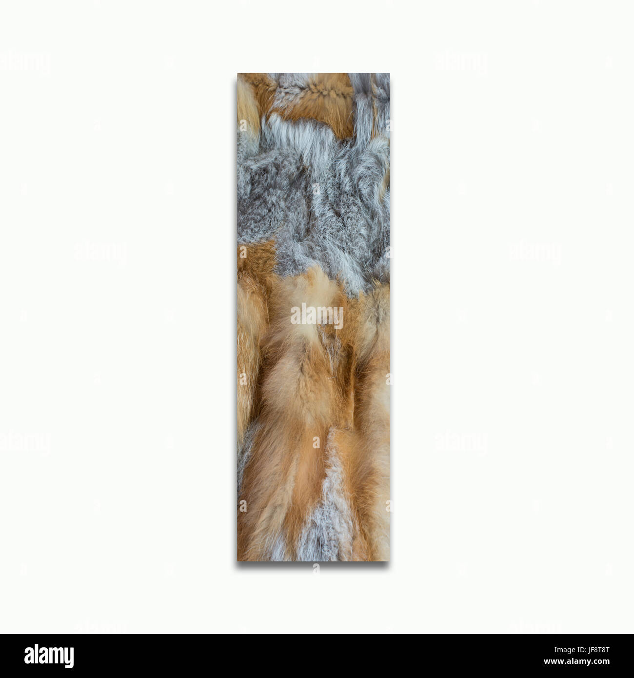 I red fox fur in a font trained Stock Photo - Alamy