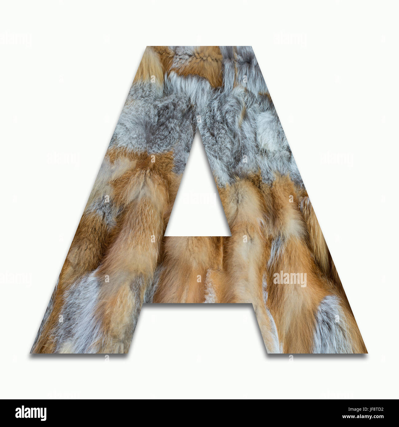 A red fox fur in a font trained Stock Photo - Alamy
