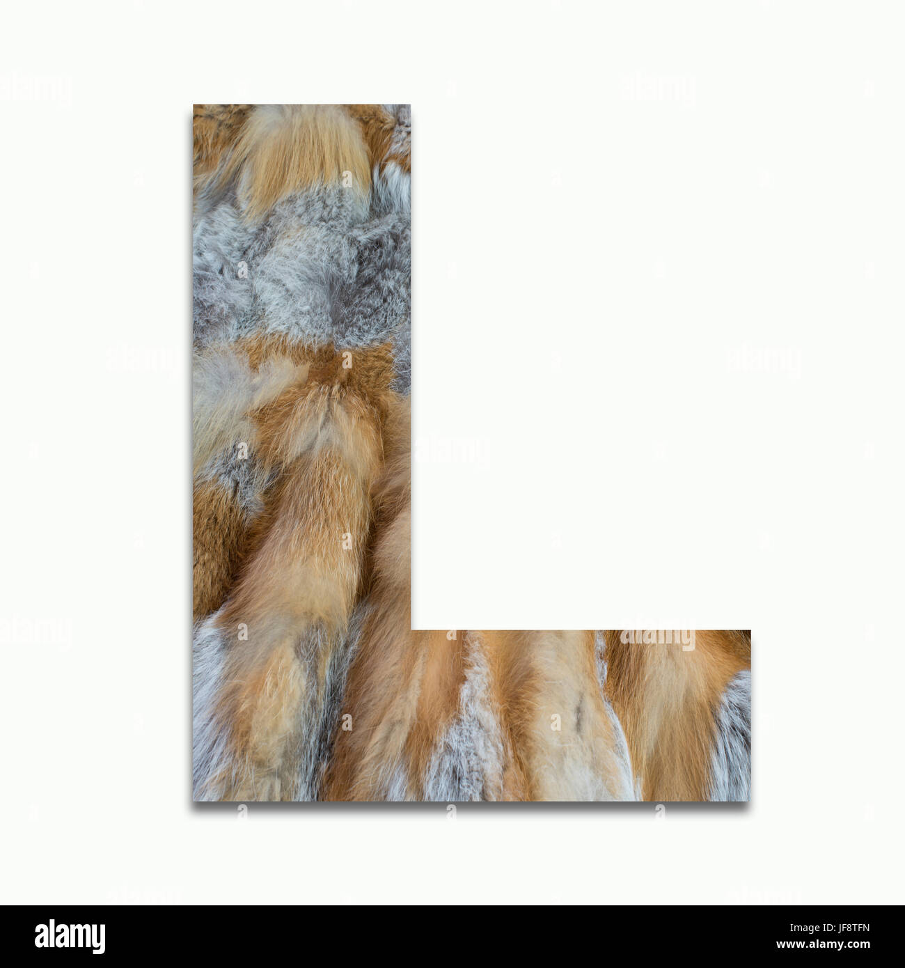 L red fox fur in a font trained Stock Photo - Alamy
