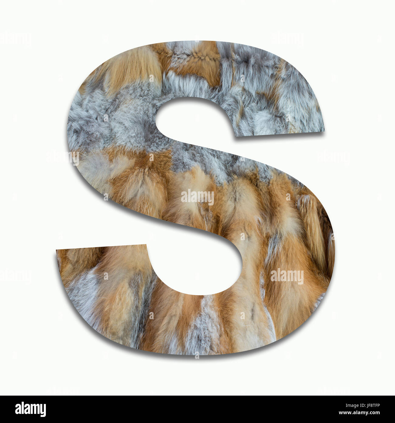 S red fox fur in a font trained Stock Photo - Alamy