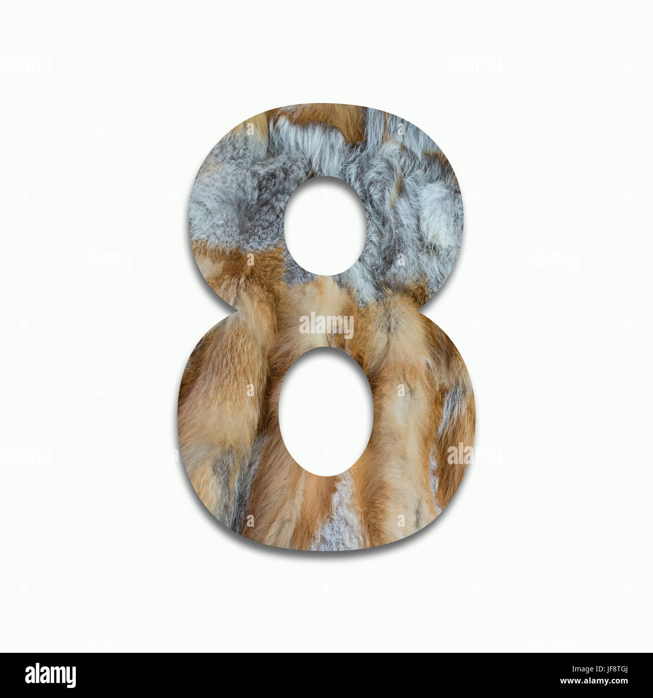 8 red fox fur in a font trained Stock Photo - Alamy