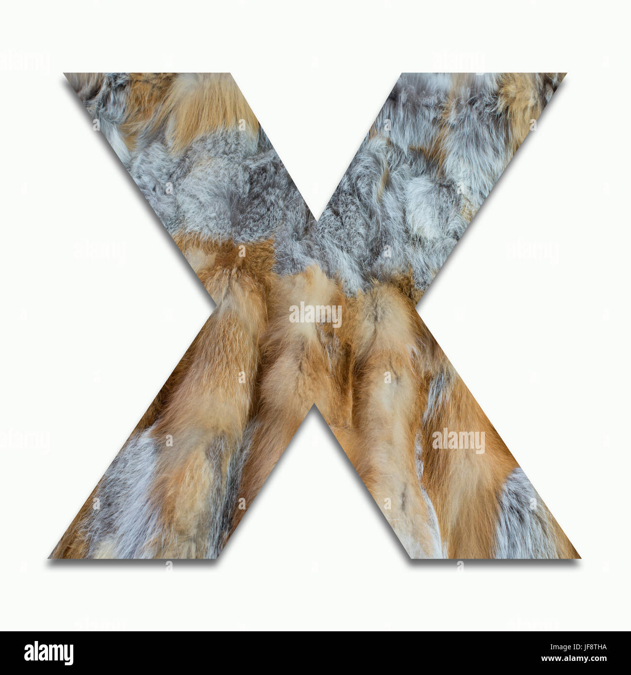 X red fox fur in a font trained Stock Photo - Alamy