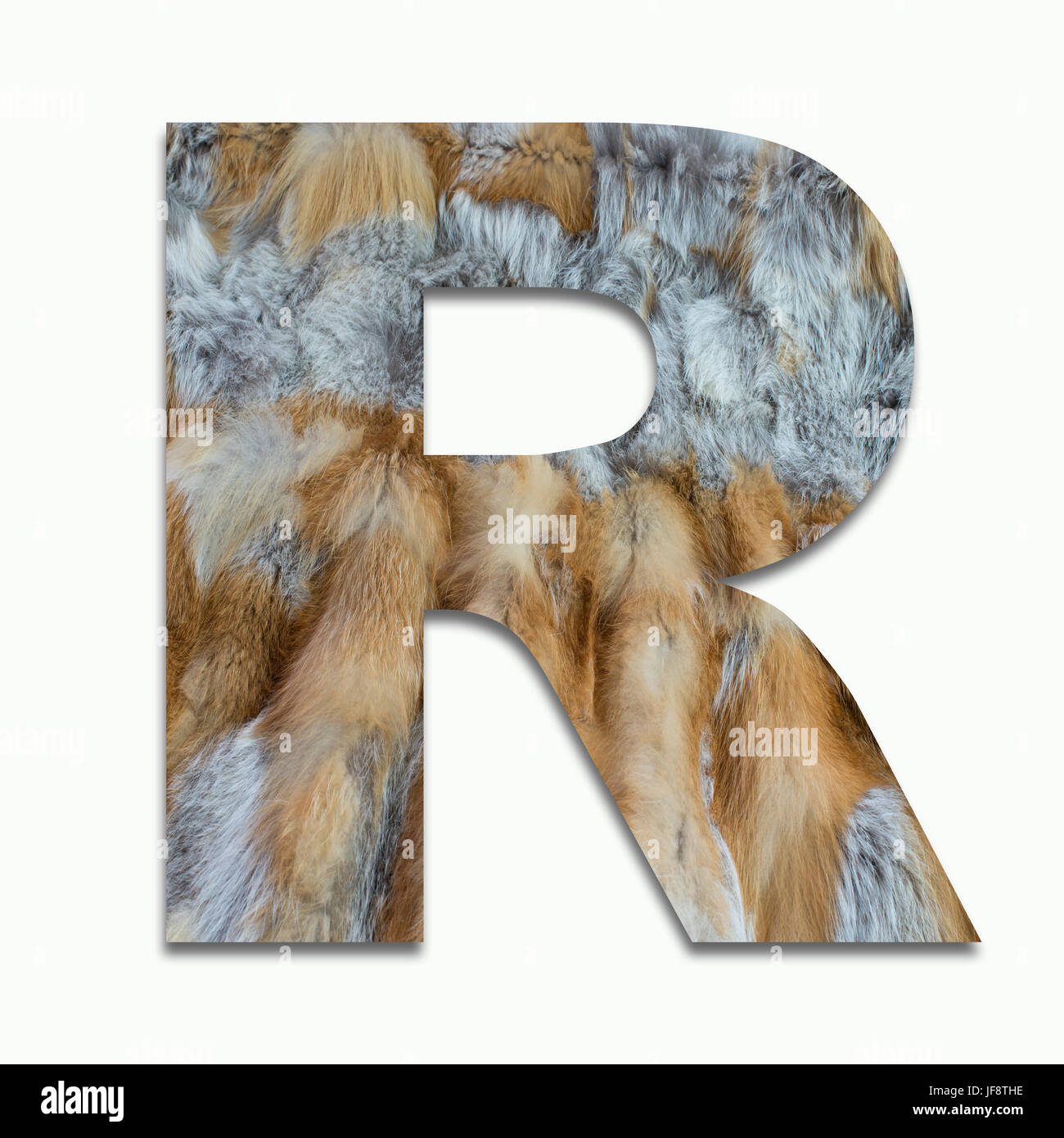 R red fox fur in a font trained Stock Photo - Alamy