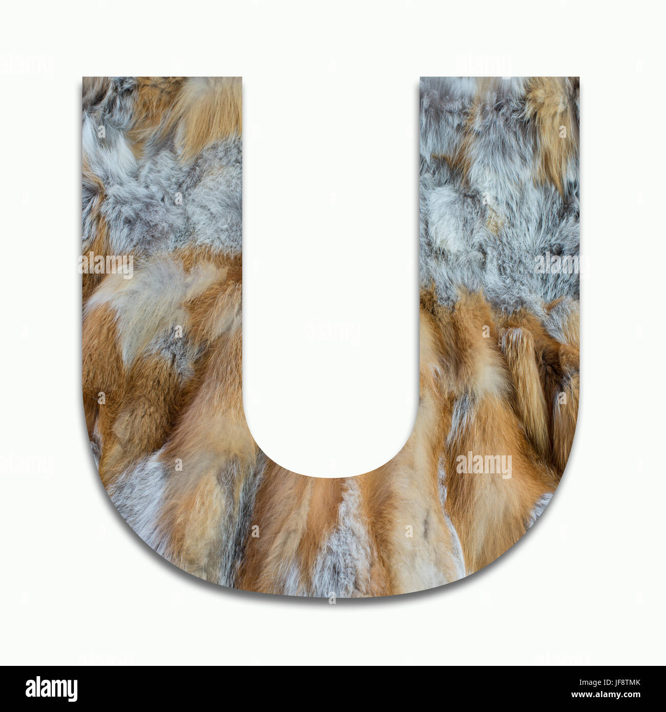 Red fox cover Cut Out Stock Images & Pictures - Alamy