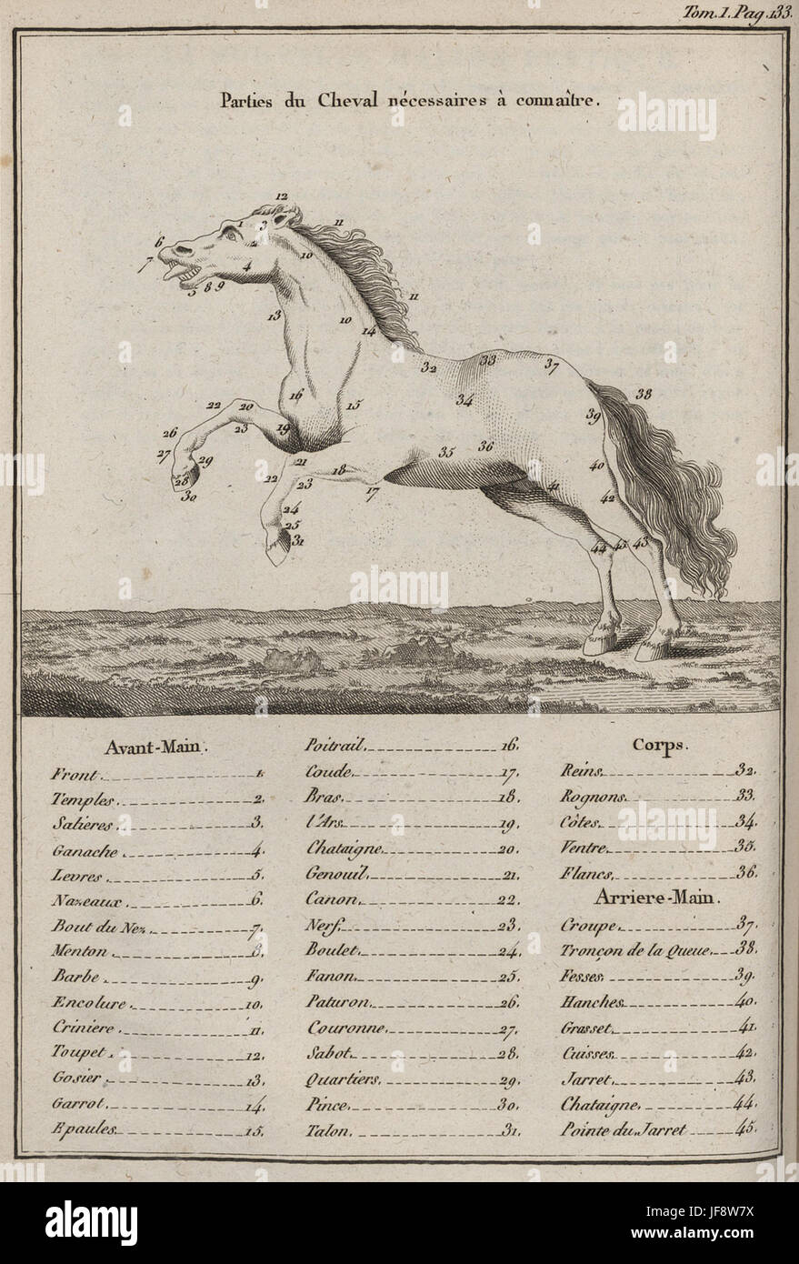 Cheval photography hi-res stock photography and images - Alamy