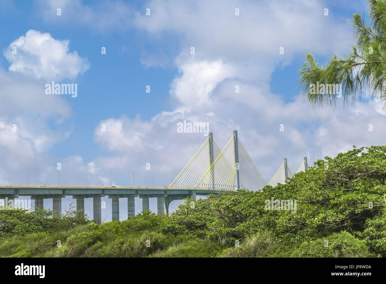 Brazil bridge hi-res stock photography and images - Alamy