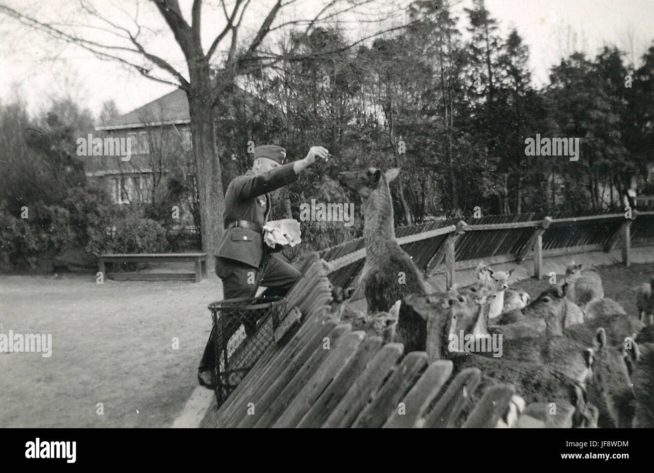 A historic photo of Bergen during the German occupation in 1941 ...