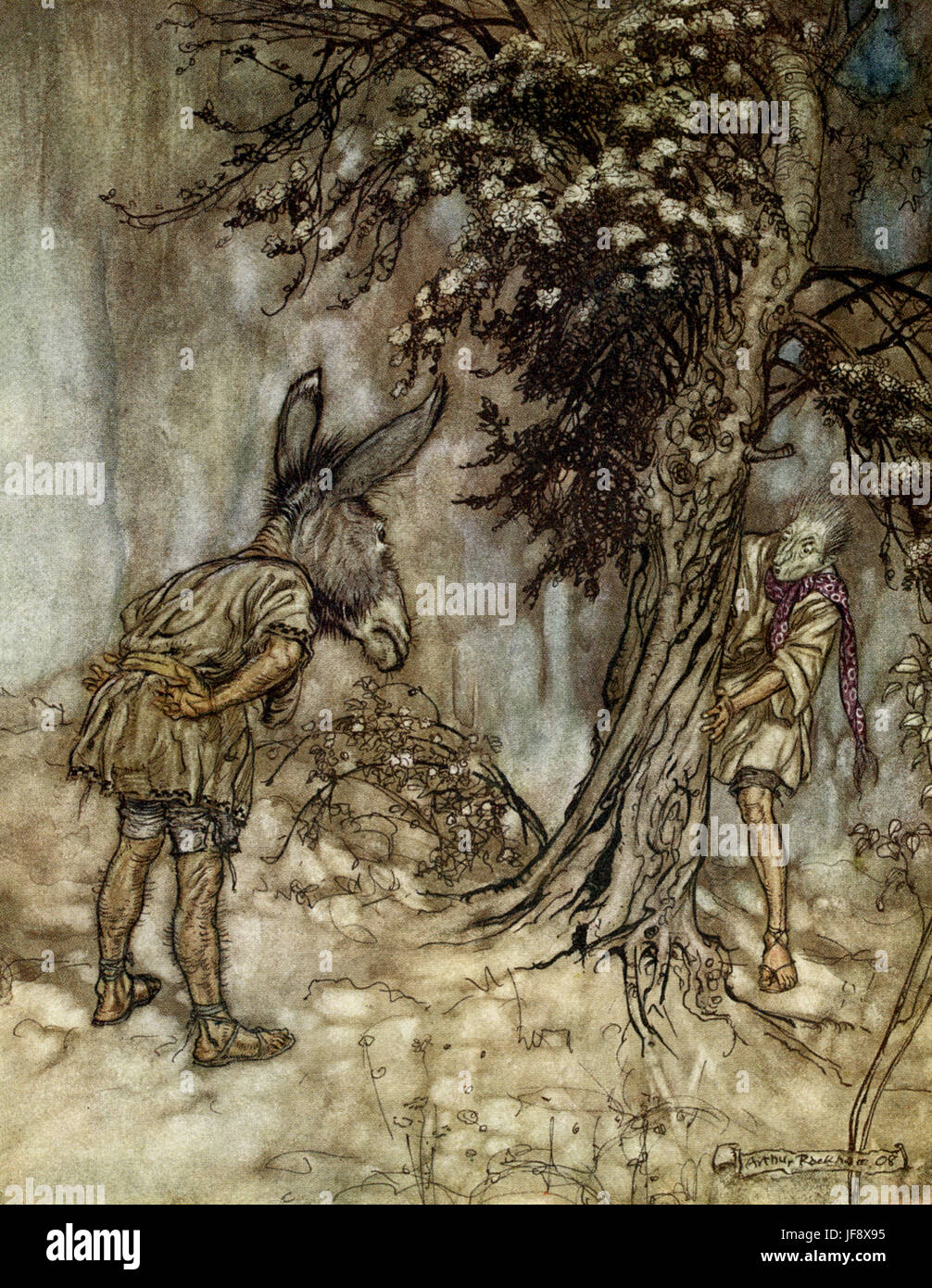 Midsummer Nights Dream Donkey Drawing