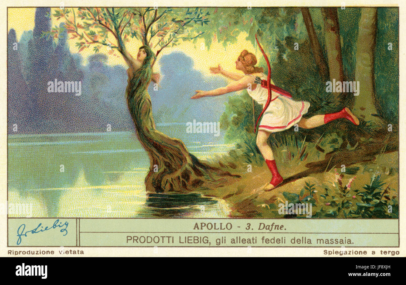 Apollo and Daphne. Liebig collectors' card 1932 Stock Photo - Alamy