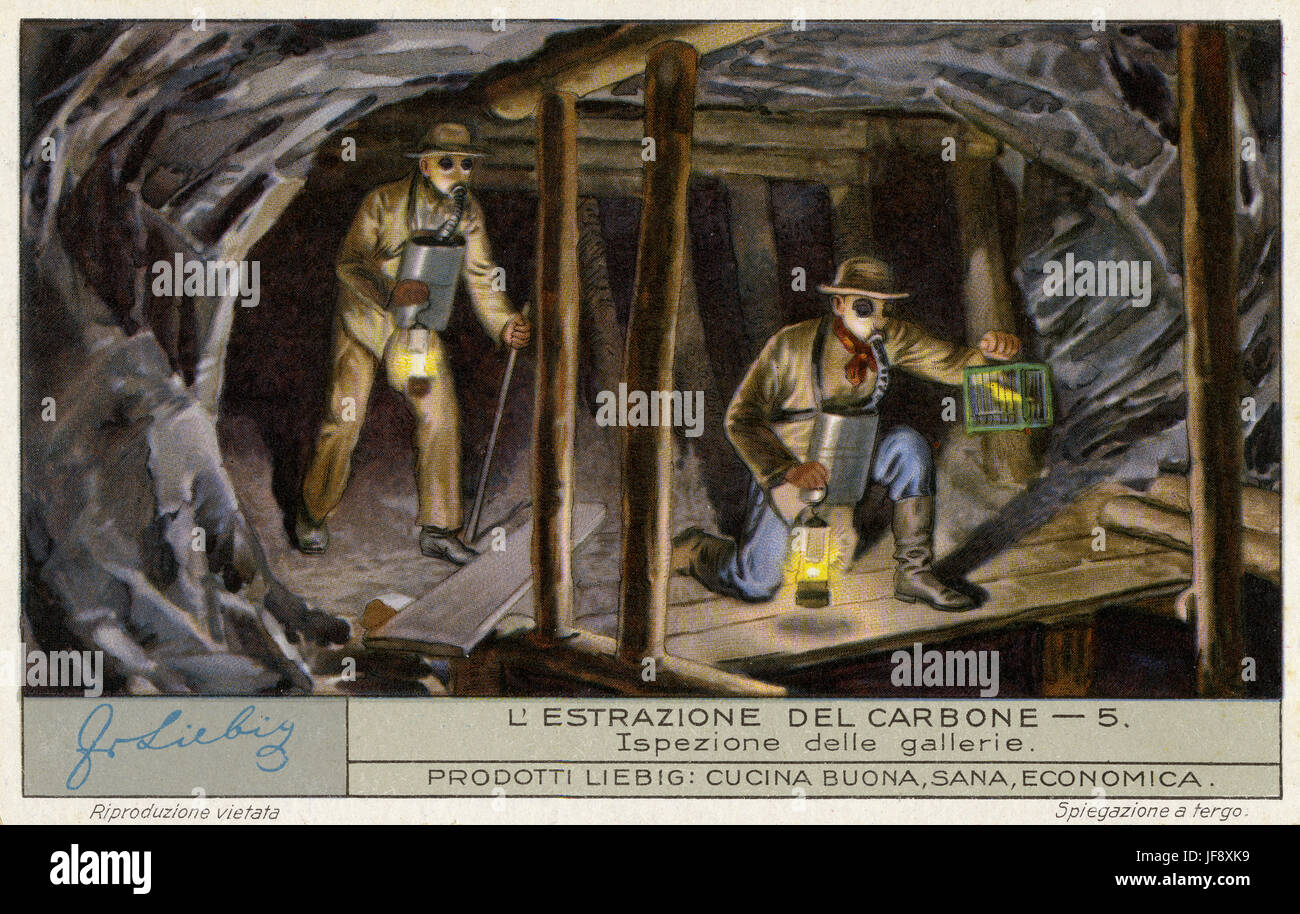 Canary In A Coal Mine Cartoon