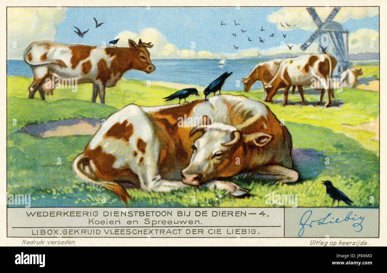 Symbiosis illustration hi-res stock photography and images - Alamy