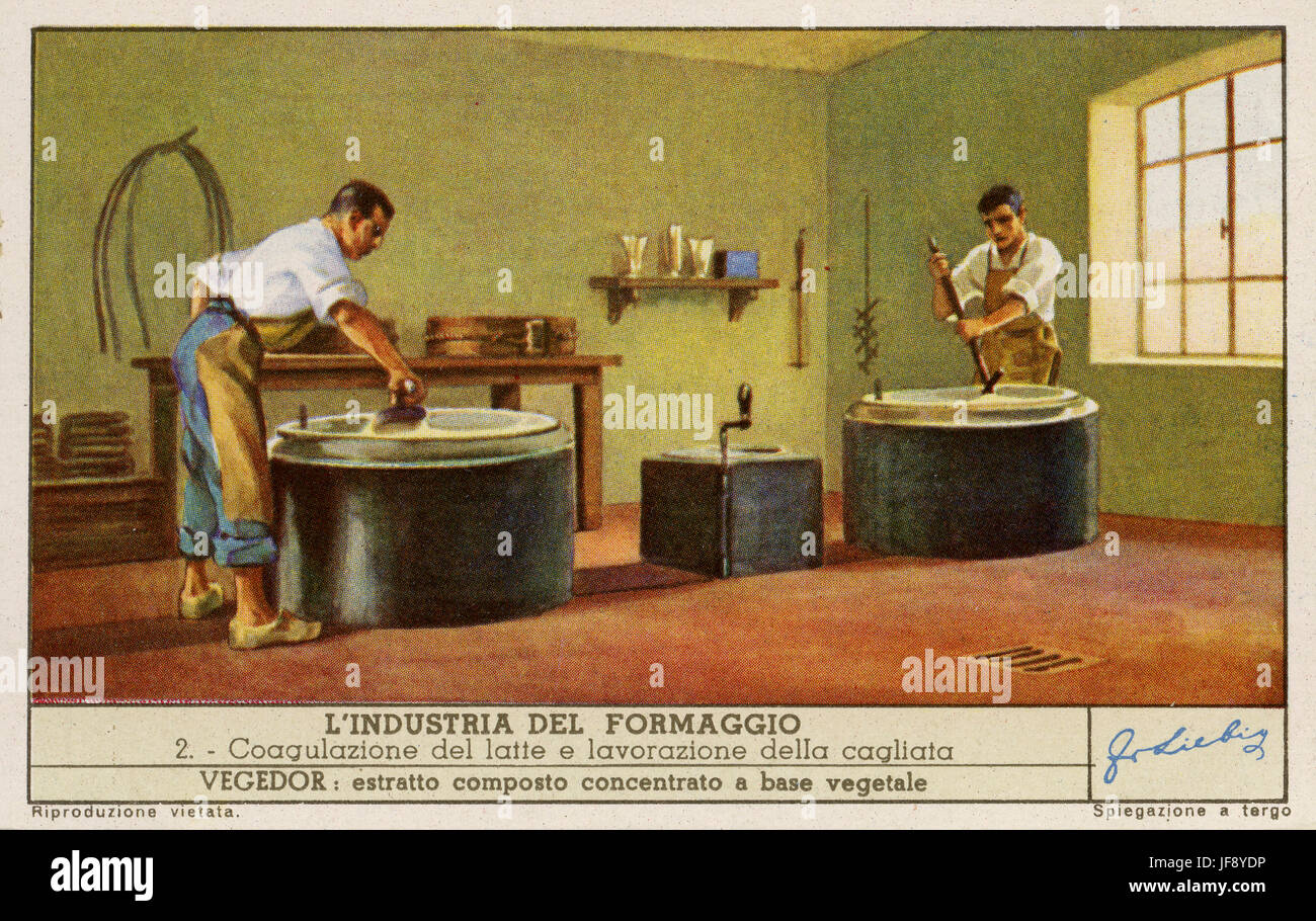 Coagulation of cheese hi-res stock photography and images - Alamy