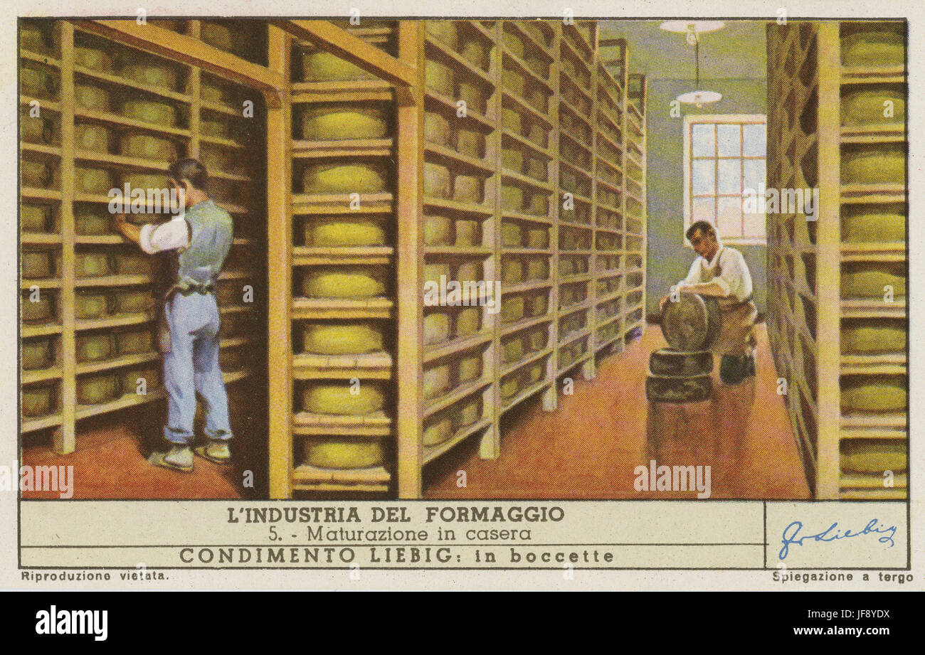 Cheese production. Maturation in cases. Liebig collectors card, 1947 ...