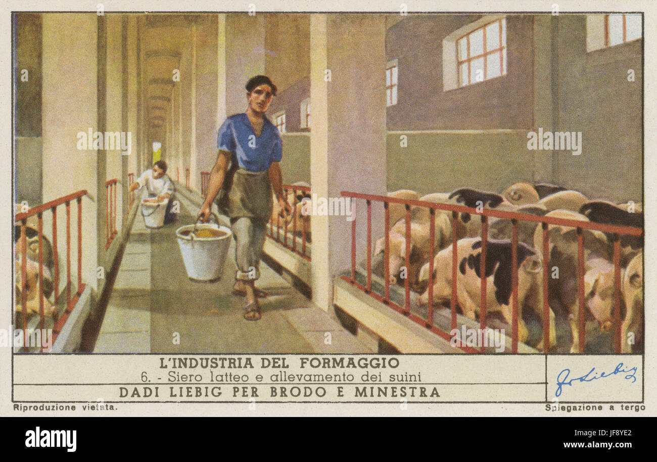 Cheese production century hi-res stock photography and images - Alamy