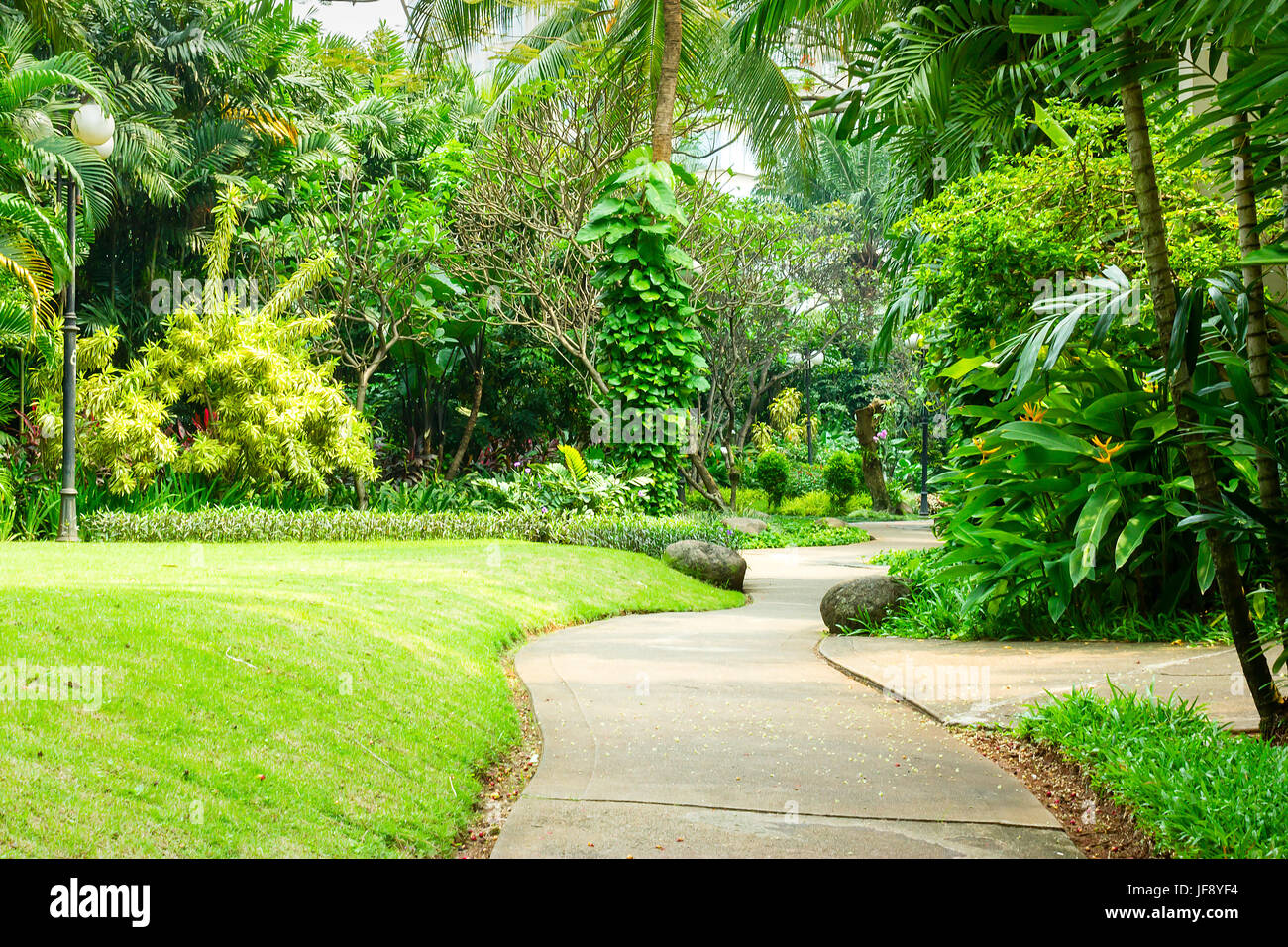 Beautiful green park with concrete winding path for pedestrians. The ...