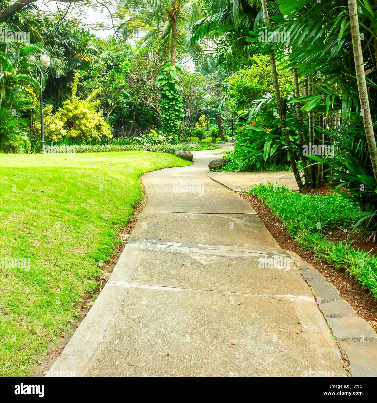 Beautiful green park with concrete winding path for pedestrians. The ...
