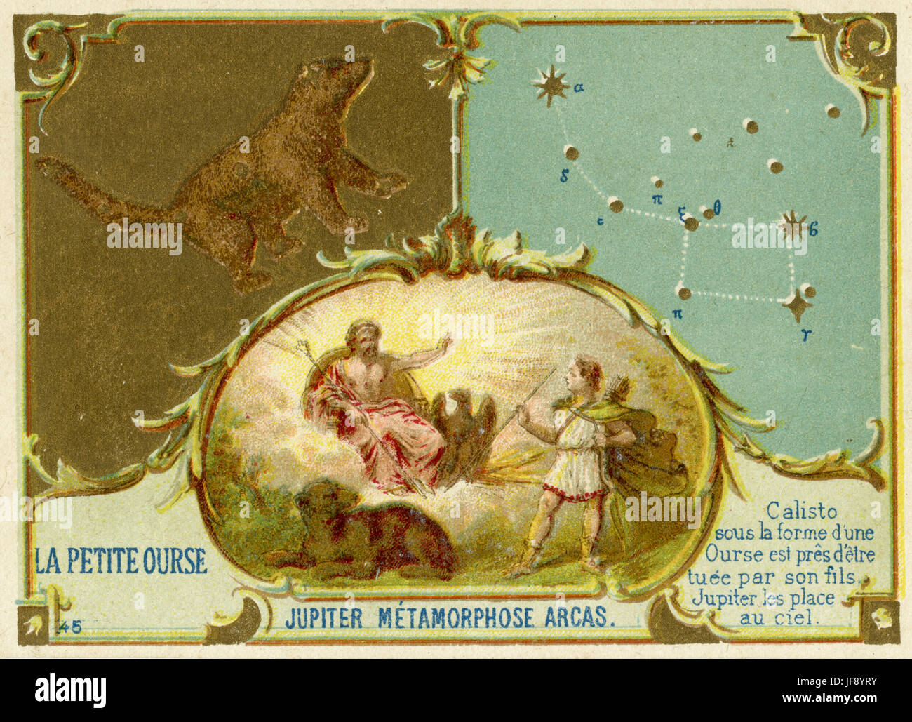 Ursa Minor / The little bear. Jupiter transforms Arcas to join his ...